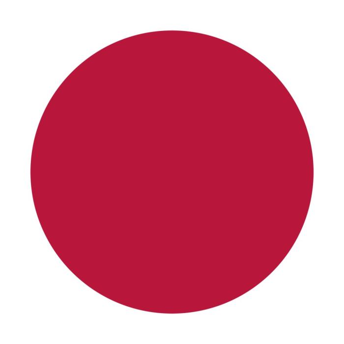 Valrhona Selection - Rond pur framboise. Décor Chocolat